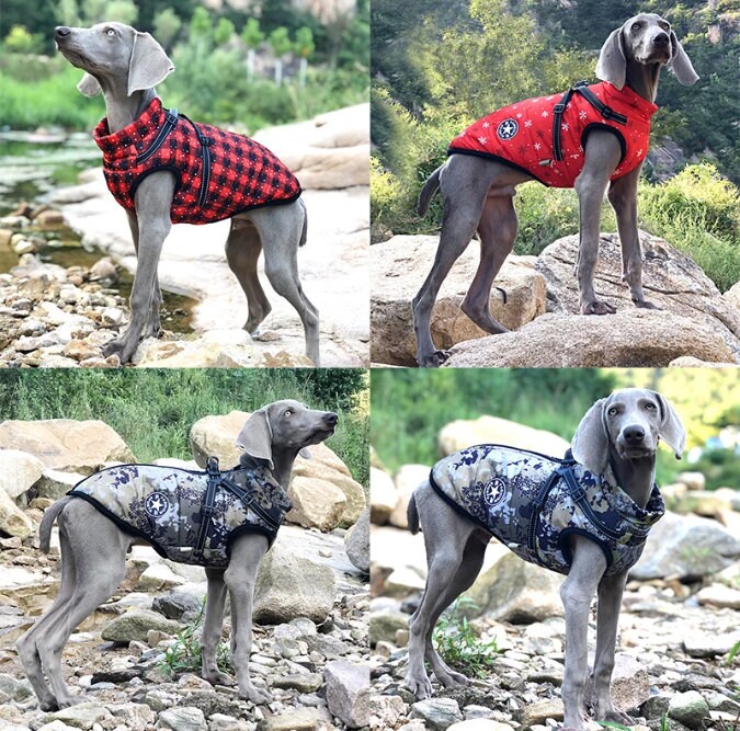 Waterproof Premium Fleece Lined Autumn/winter Dog Warm Padded - Etsy UK