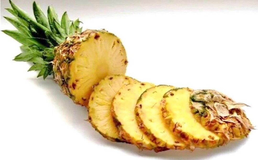 Ananas Florida Special (gold Pineapple) Starter Plant **(ALL Plants ...