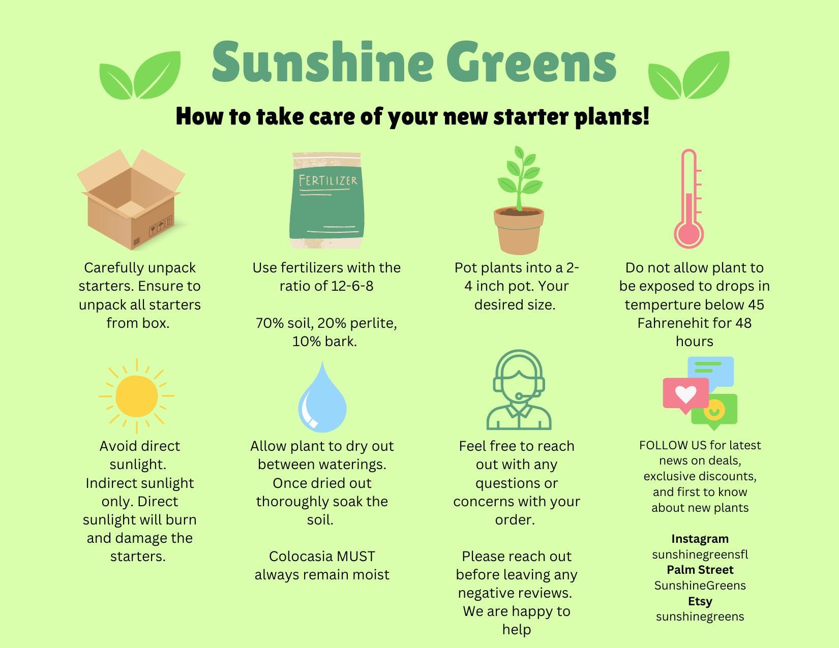 Skeleton Fittonia Starter Plant (ALL STARTER PLANTS Require You to Purchase 2 Plants!) - Etsy