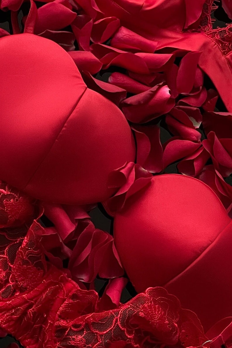 Satin Set Bridal Lingerie Set Sexy Bra Sexy Panties Comfy Lingerie ...