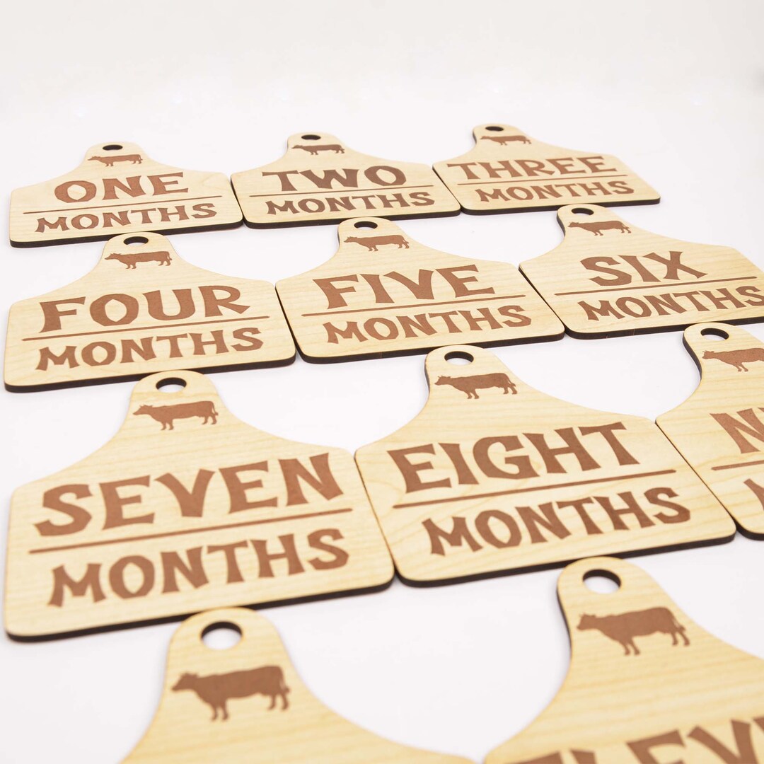 Cow Ear Tag Monthly Milestone Tags, Rustic Baby Announcement - Etsy