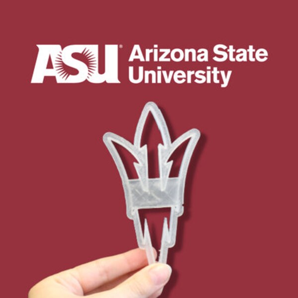 University of Arizona Cupcake Toppers - Etsy