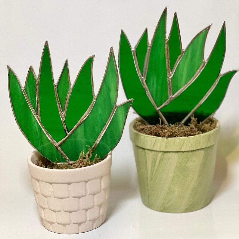 Succulent Stained Glass Patterns Agave Flower Set for - Etsy