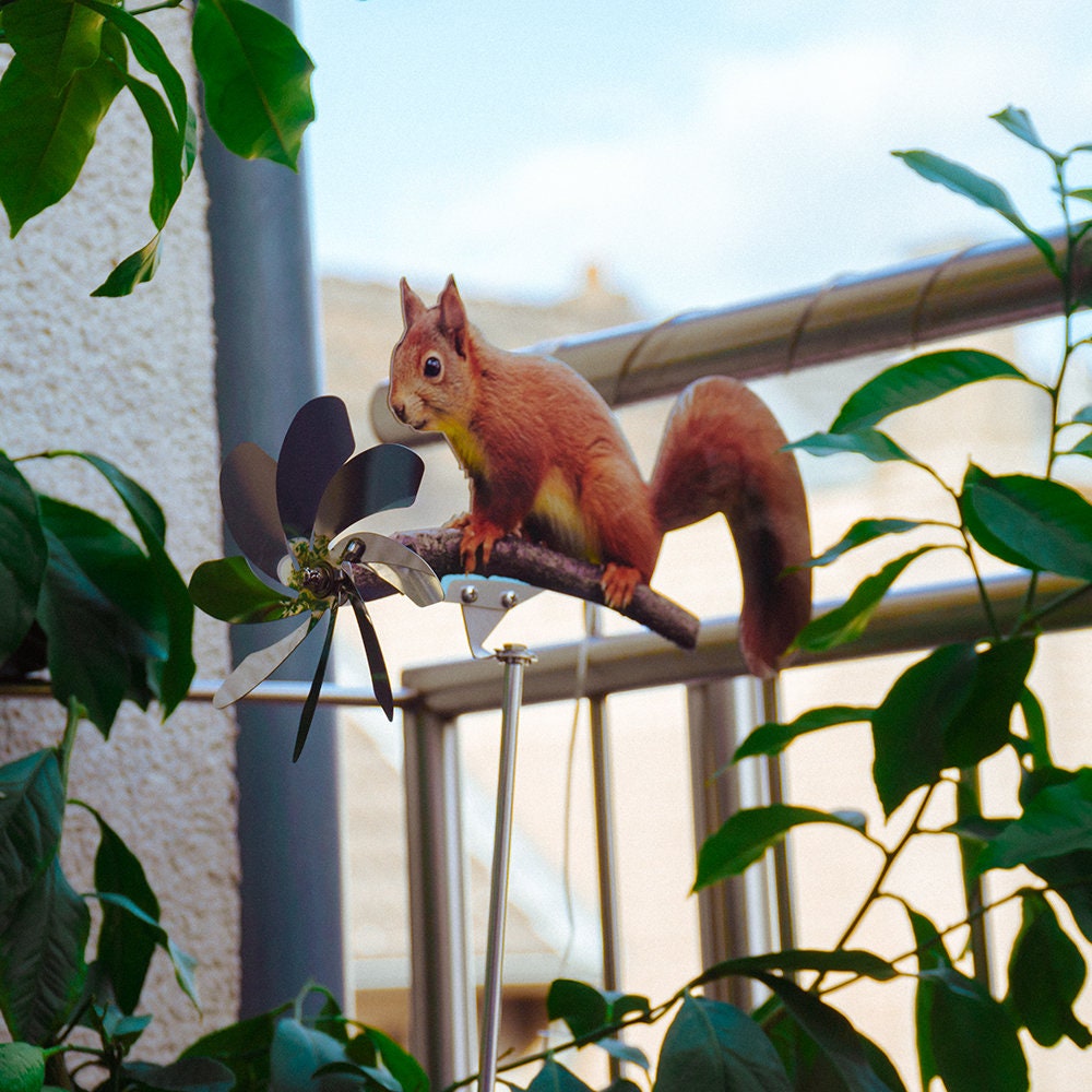 Squirrel as Garden Propeller Decoration - Etsy
