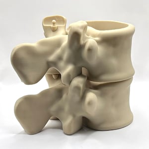 Human Spine Pen Cup - 3D Printed - Pencil Holder - Flower Vase Planter ...