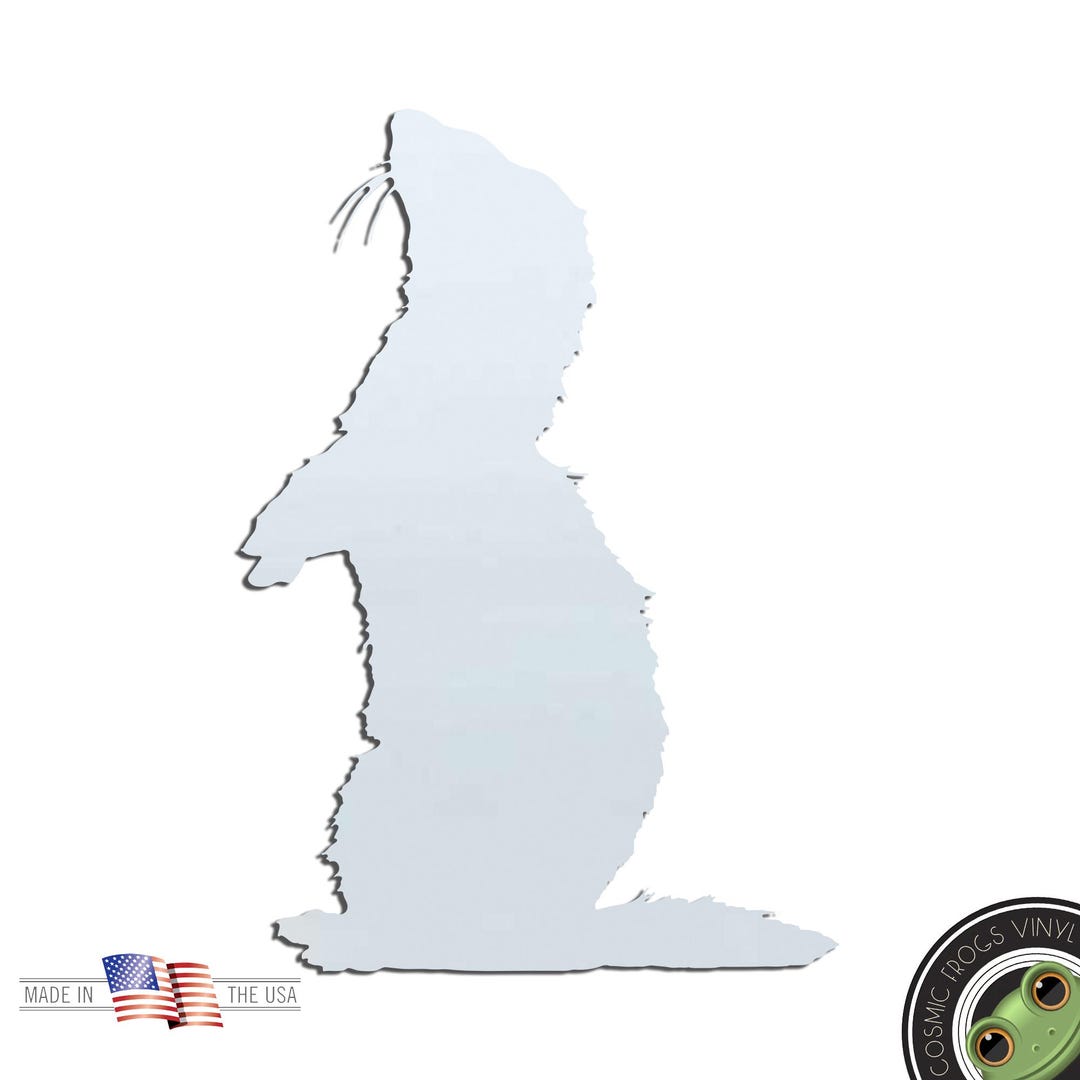 Ferret #2 Laser Cut Out Acrylic Shape Craft Supply - Etsy