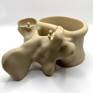 Human Spine Pen Cup - 3D Printed - Pencil Holder - Flower Vase Planter ...