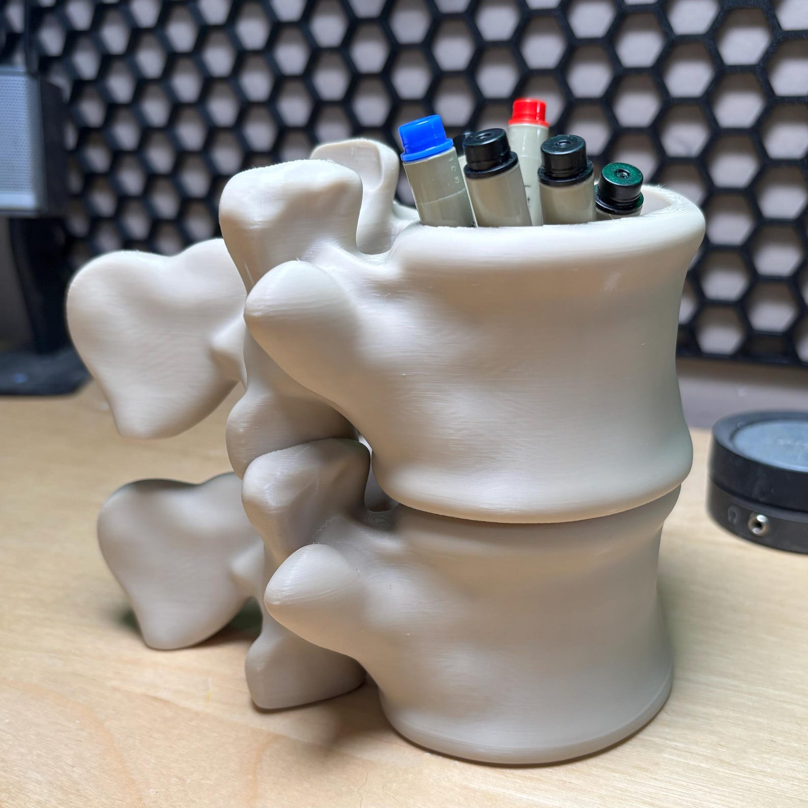 Skeleton Spine Vase Planter Pencil Cup 3D Printed - Etsy