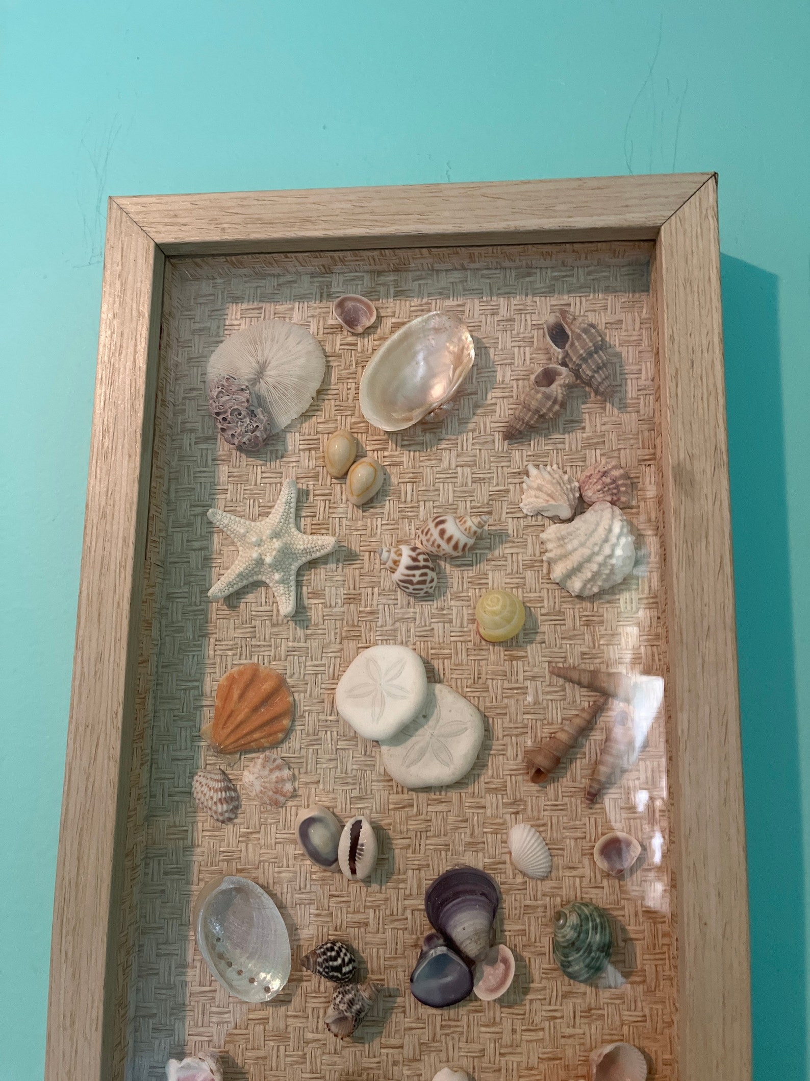 Seashell Shadowbox Display Nautical Themed - Etsy