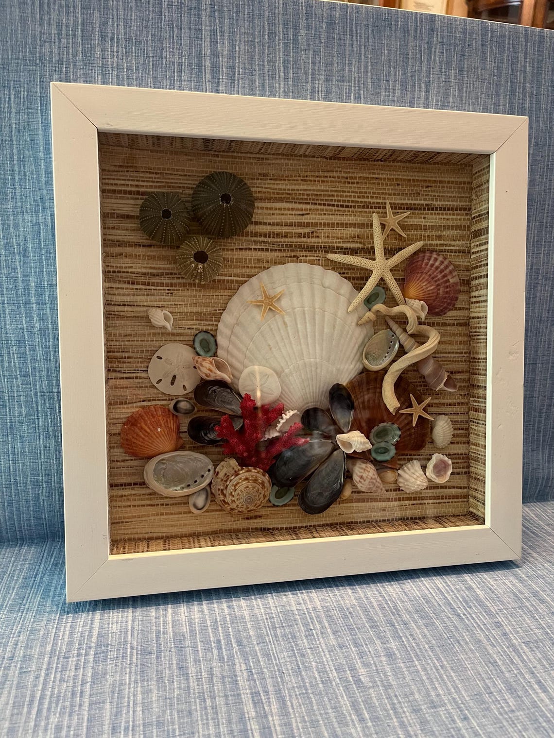 Seashell Shadowbox in White Frame - Etsy