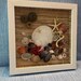 Seashell Shadowbox in White Frame - Etsy
