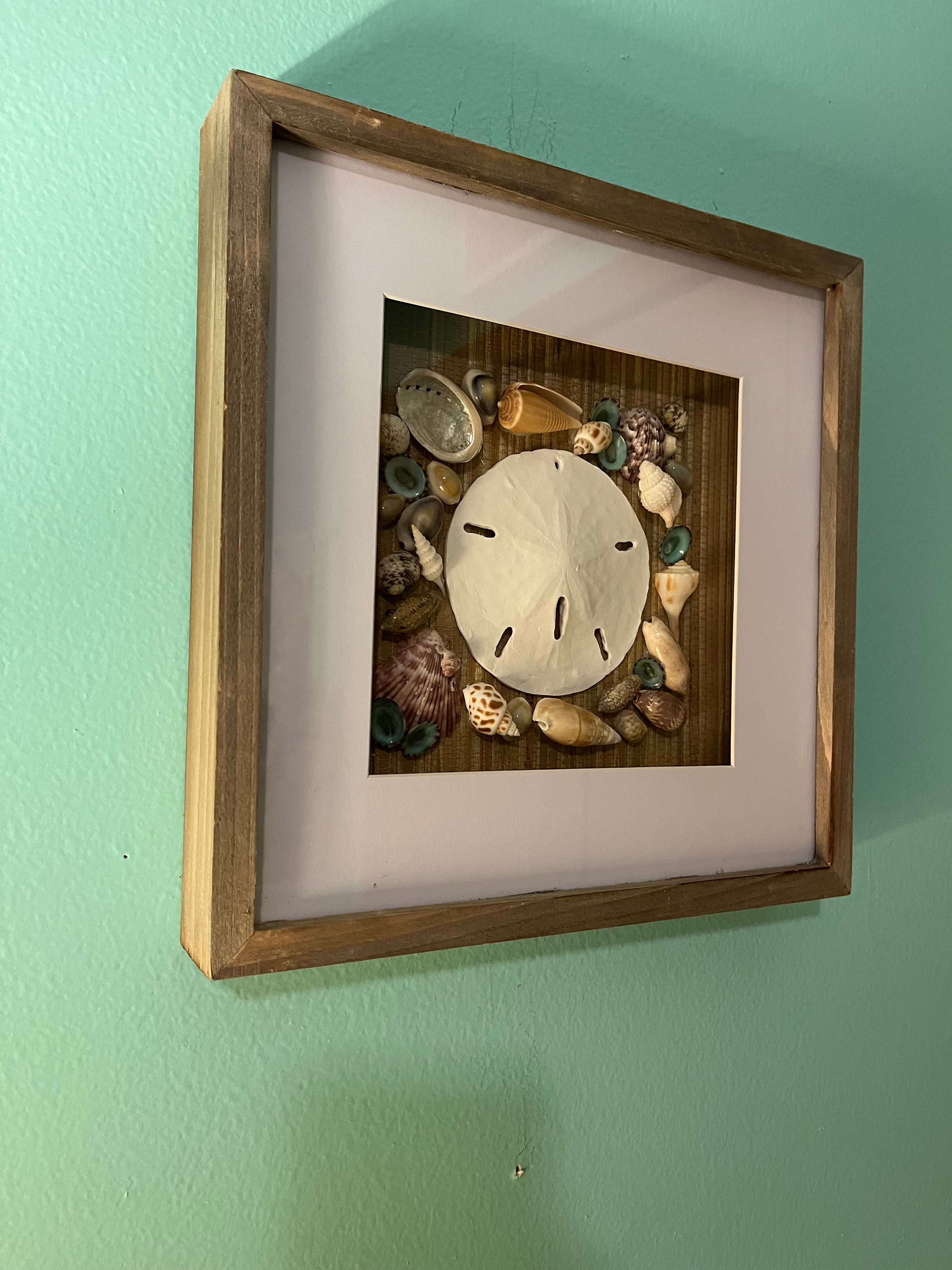 Sand Dollar Collage - Etsy