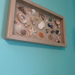 Seashell Shadowbox Display Nautical Themed - Etsy