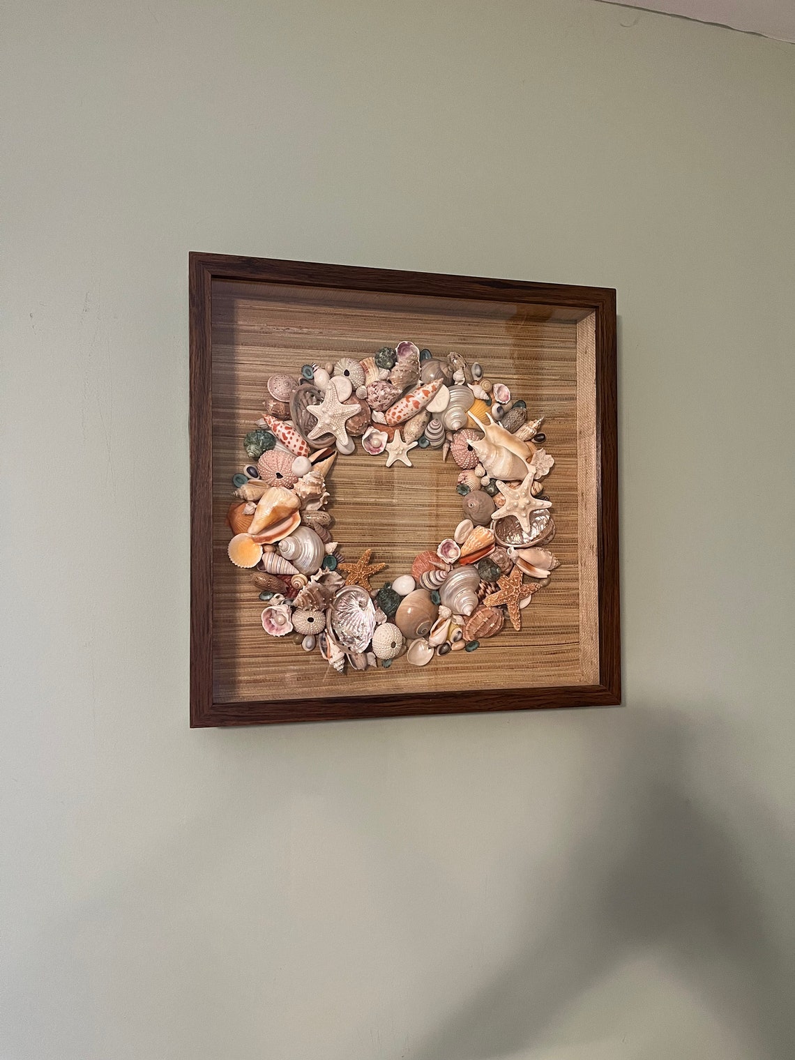 Seashell Shadowbox Deluxe Display in Dark Oak Frame - Etsy