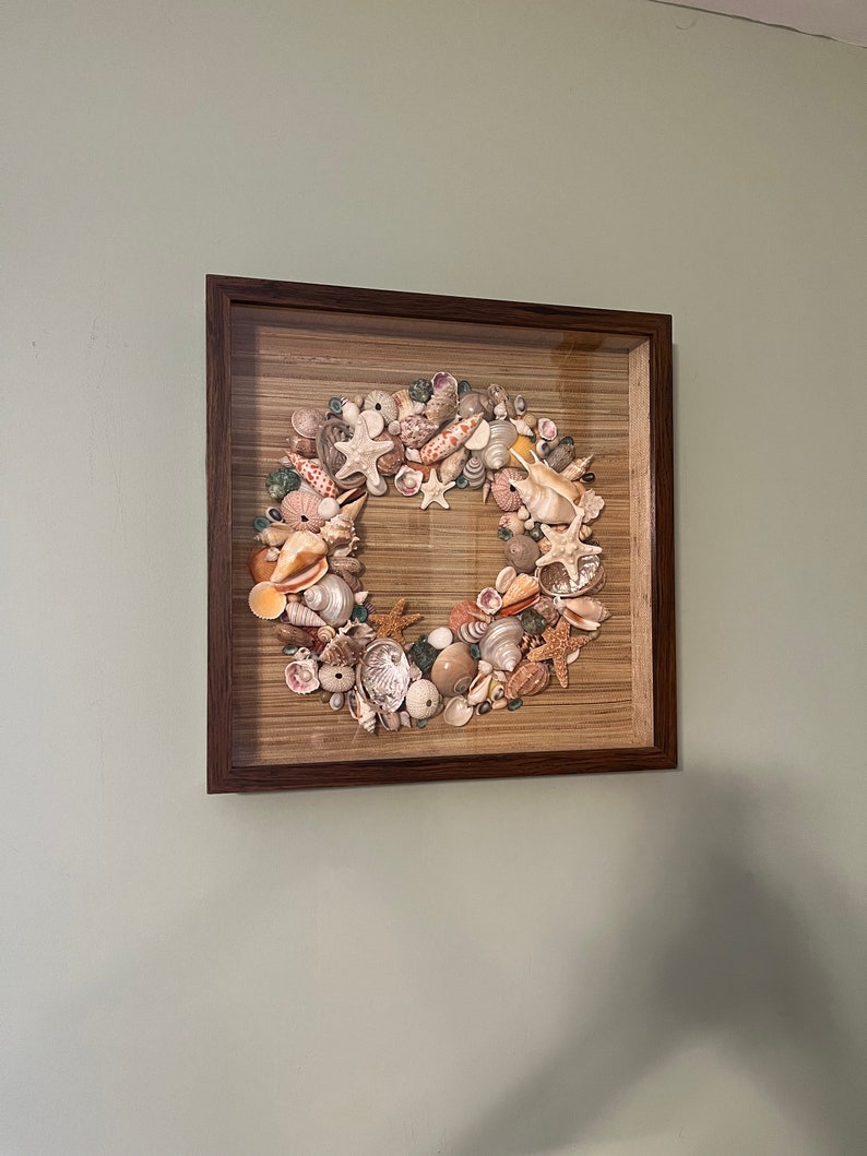 Seashell Shadowbox Deluxe Display in Dark Oak Frame - Etsy