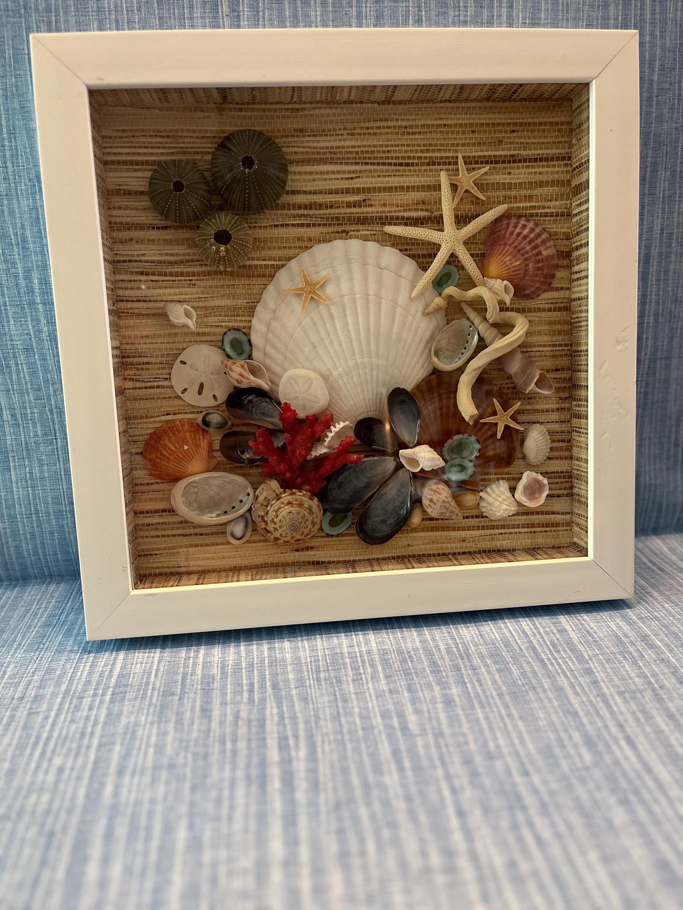 Seashell Shadowbox in White Frame - Etsy