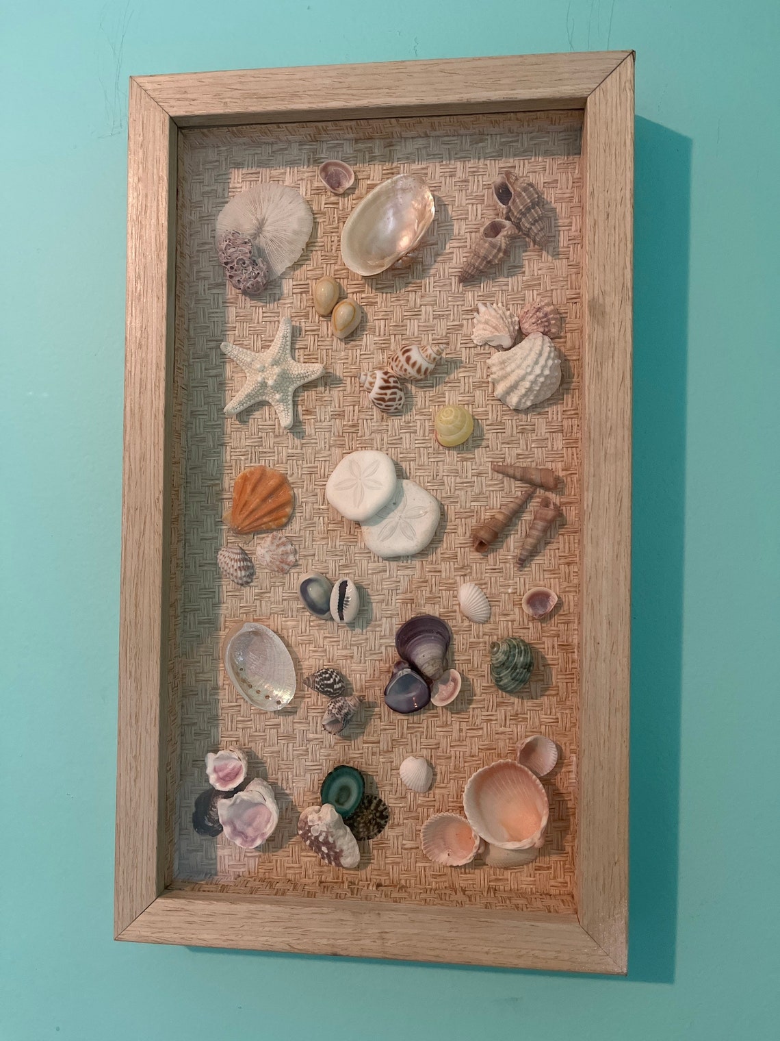 Seashell Shadowbox Display Nautical Themed - Etsy