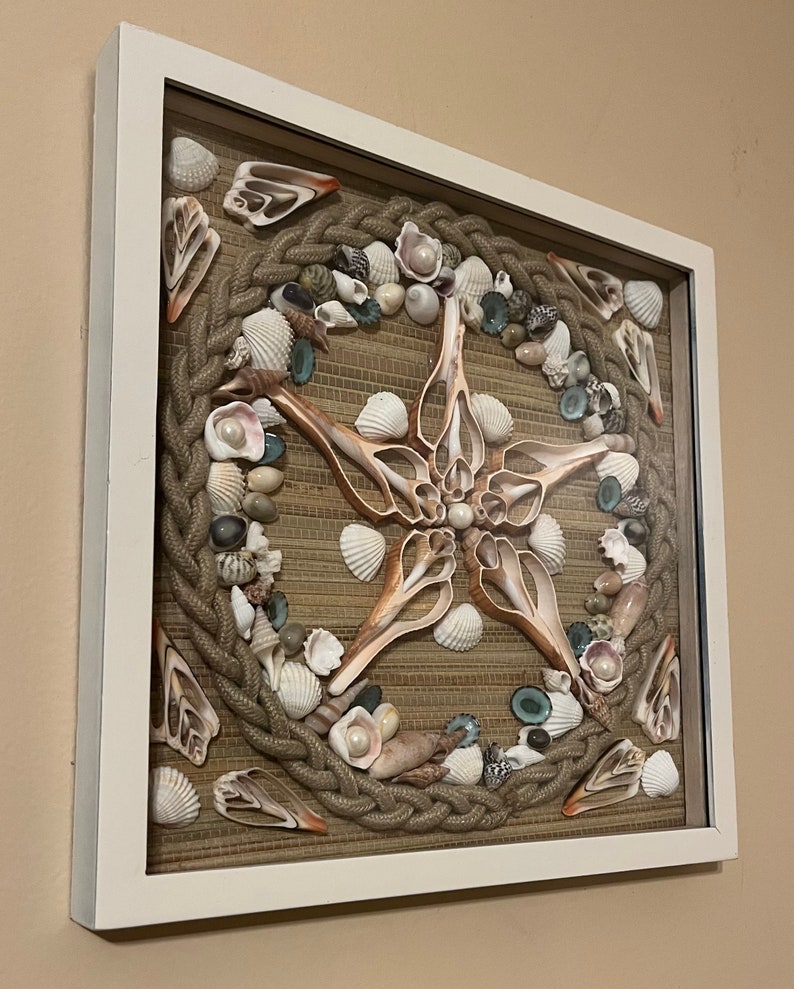 Braided Rope and Shells Shadowbox - Etsy