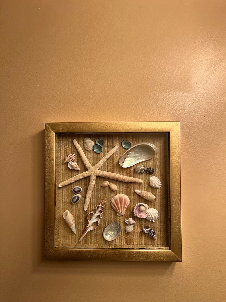 Gold Framed Seashell Shadowbox Display - Etsy