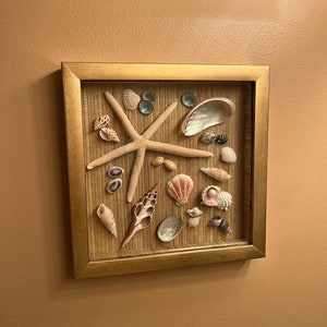Gold Framed Seashell Shadowbox Display - Etsy