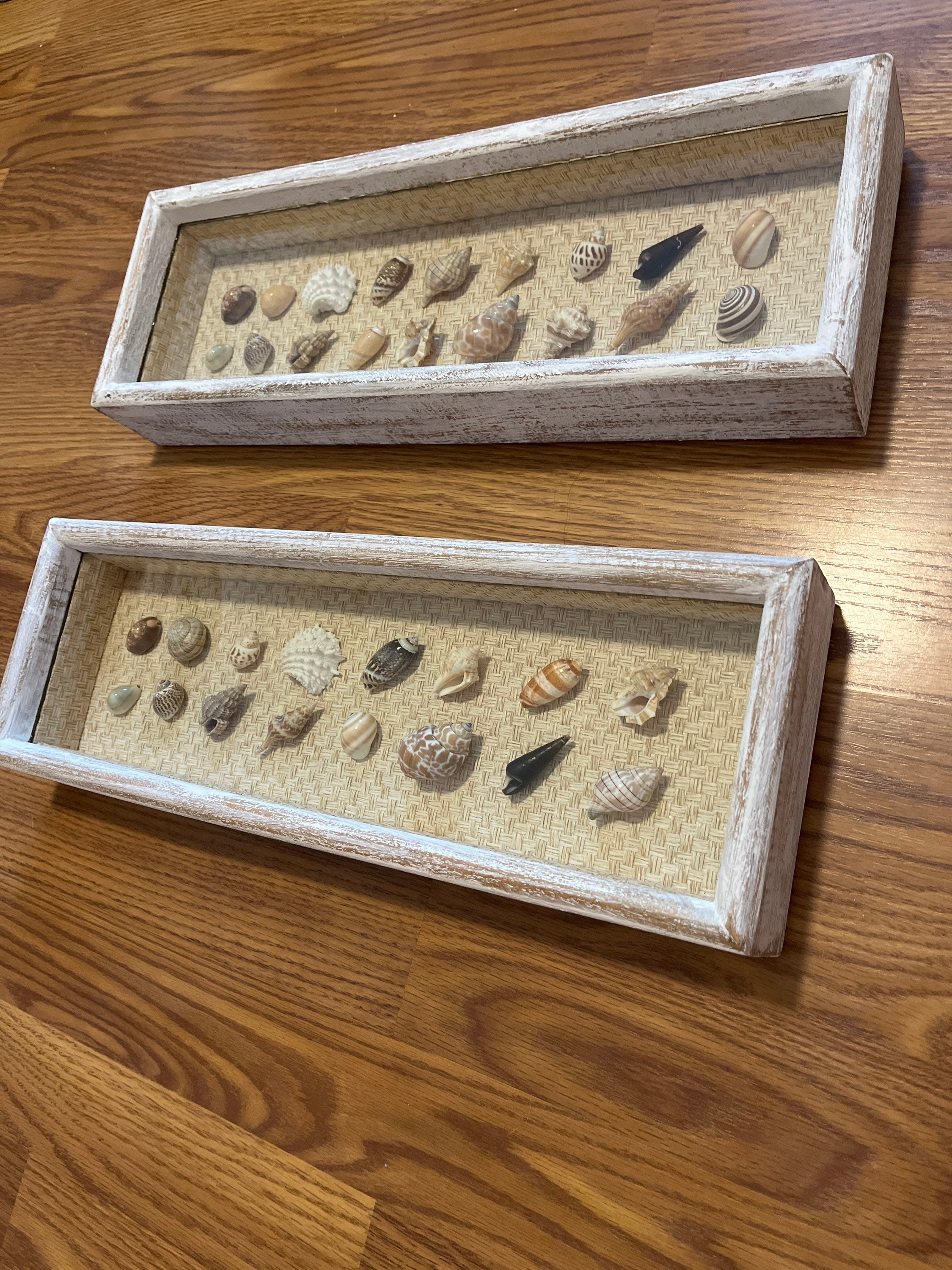 Long Seashell Shadowbox Display Beachcomber Nautical Display - Etsy