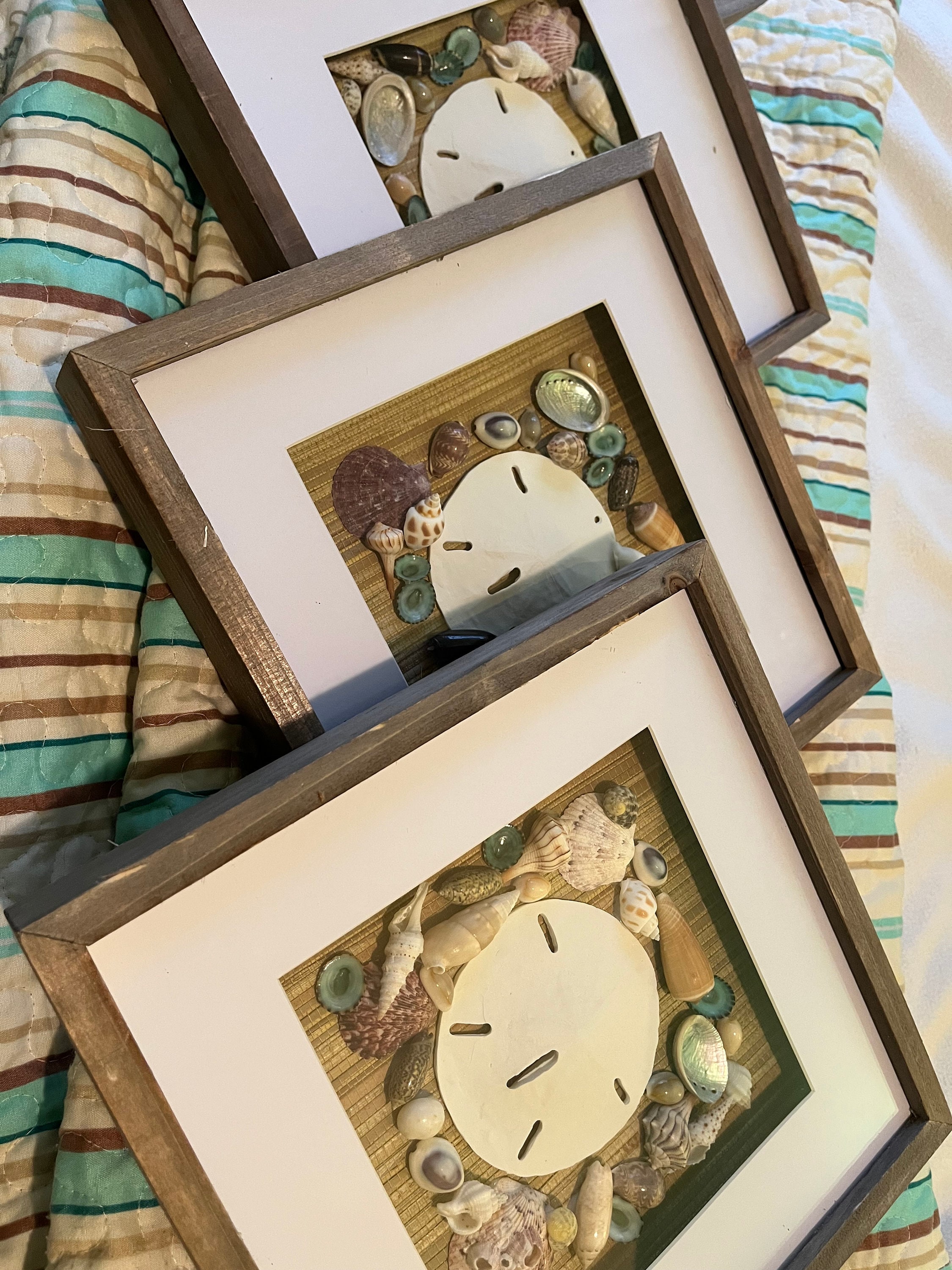 Sand Dollar Collage - Etsy