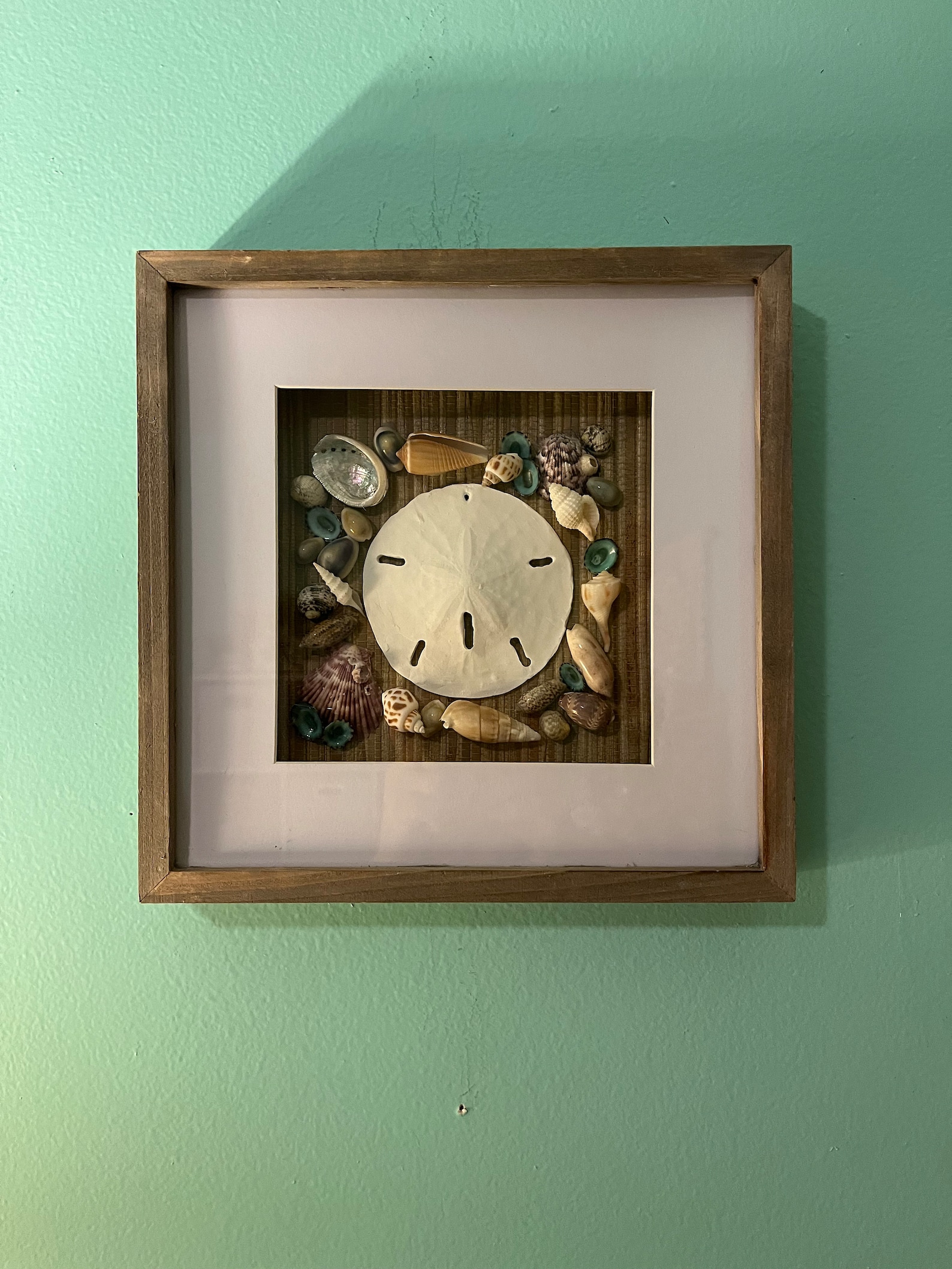 Sand Dollar Collage - Etsy