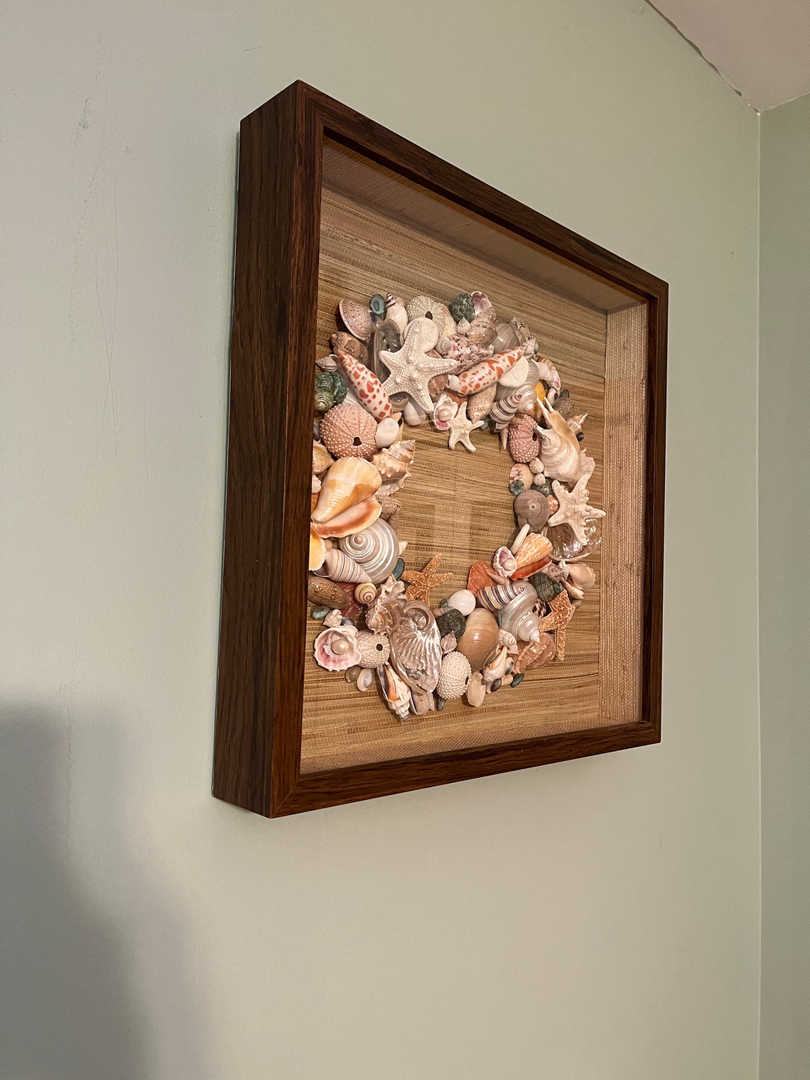 Seashell Shadowbox Deluxe Display in Dark Oak Frame - Etsy