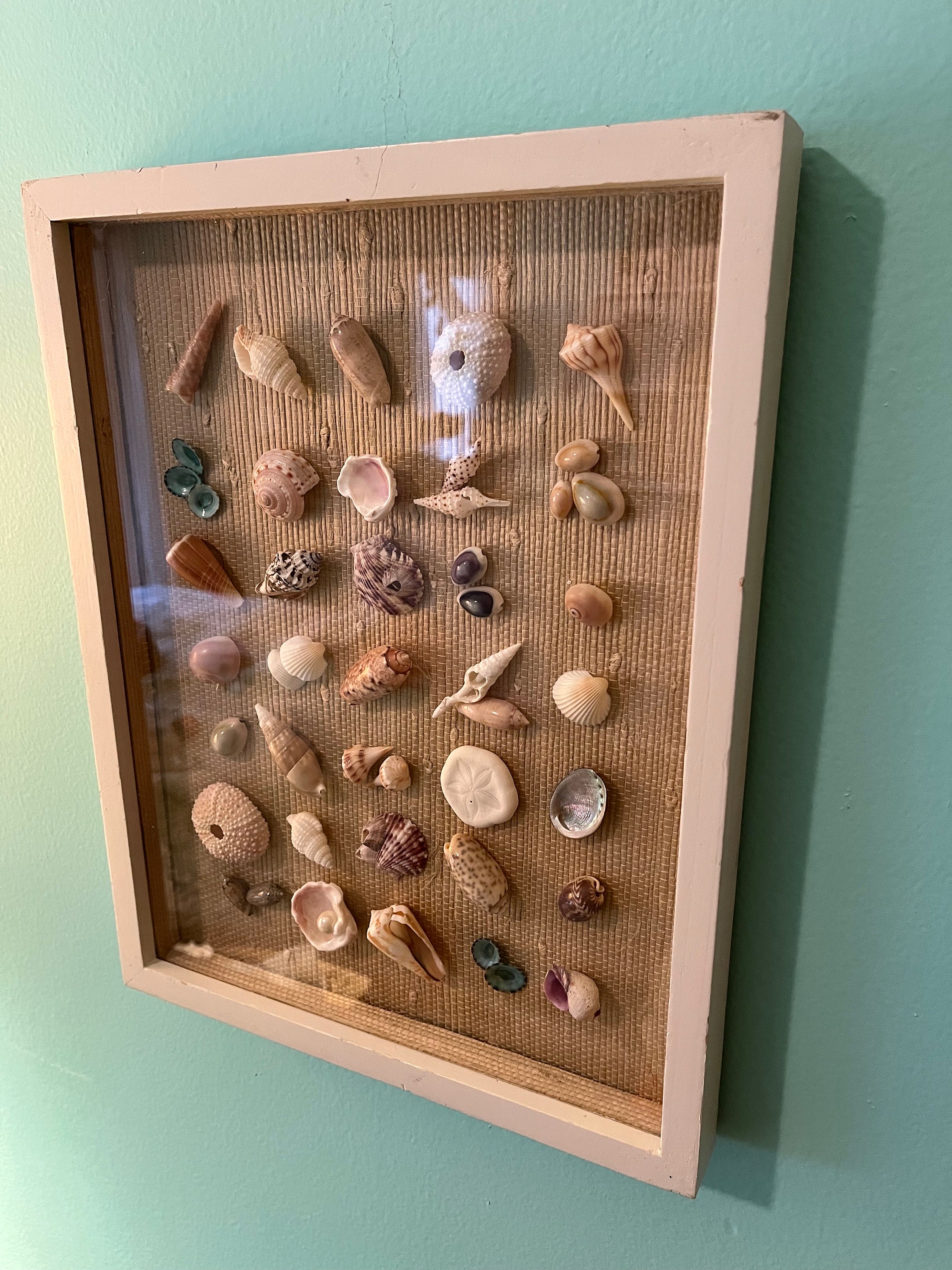 Mini Seashells Distressed Shadowbox Display Nautical or Coastal Decor ...