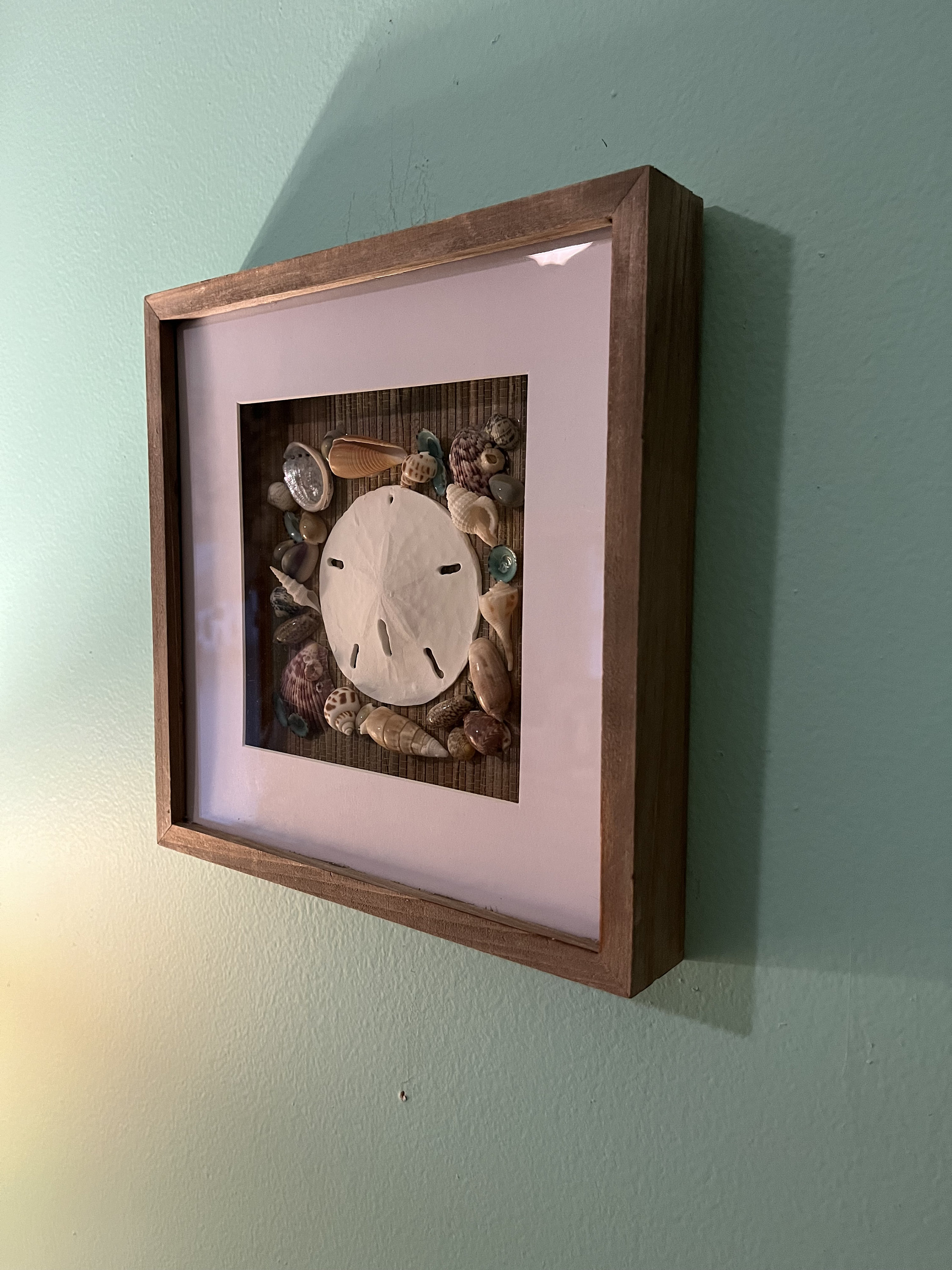 Sand Dollar Collage - Etsy