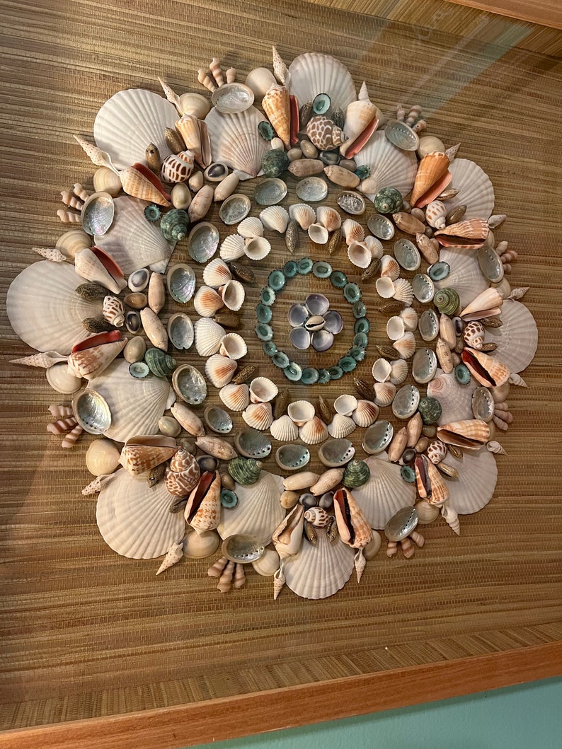 Mandala Large Seashell Shadowbox - Etsy