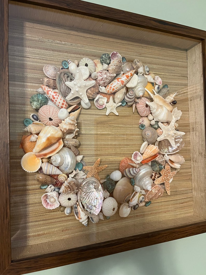 Seashell Shadowbox Deluxe Display in Dark Oak Frame - Etsy