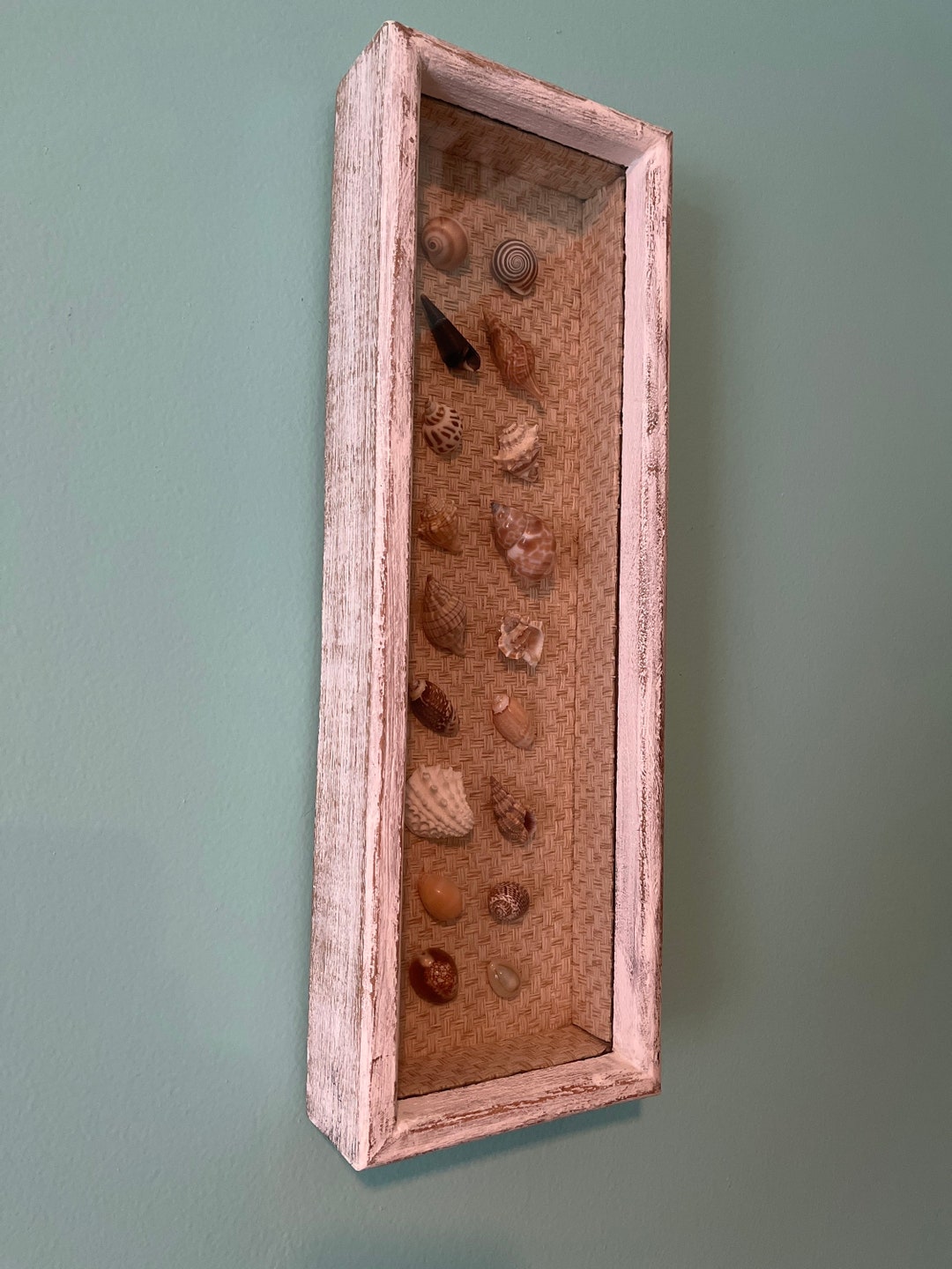 Long Seashell Shadowbox Display Beachcomber Nautical Display - Etsy