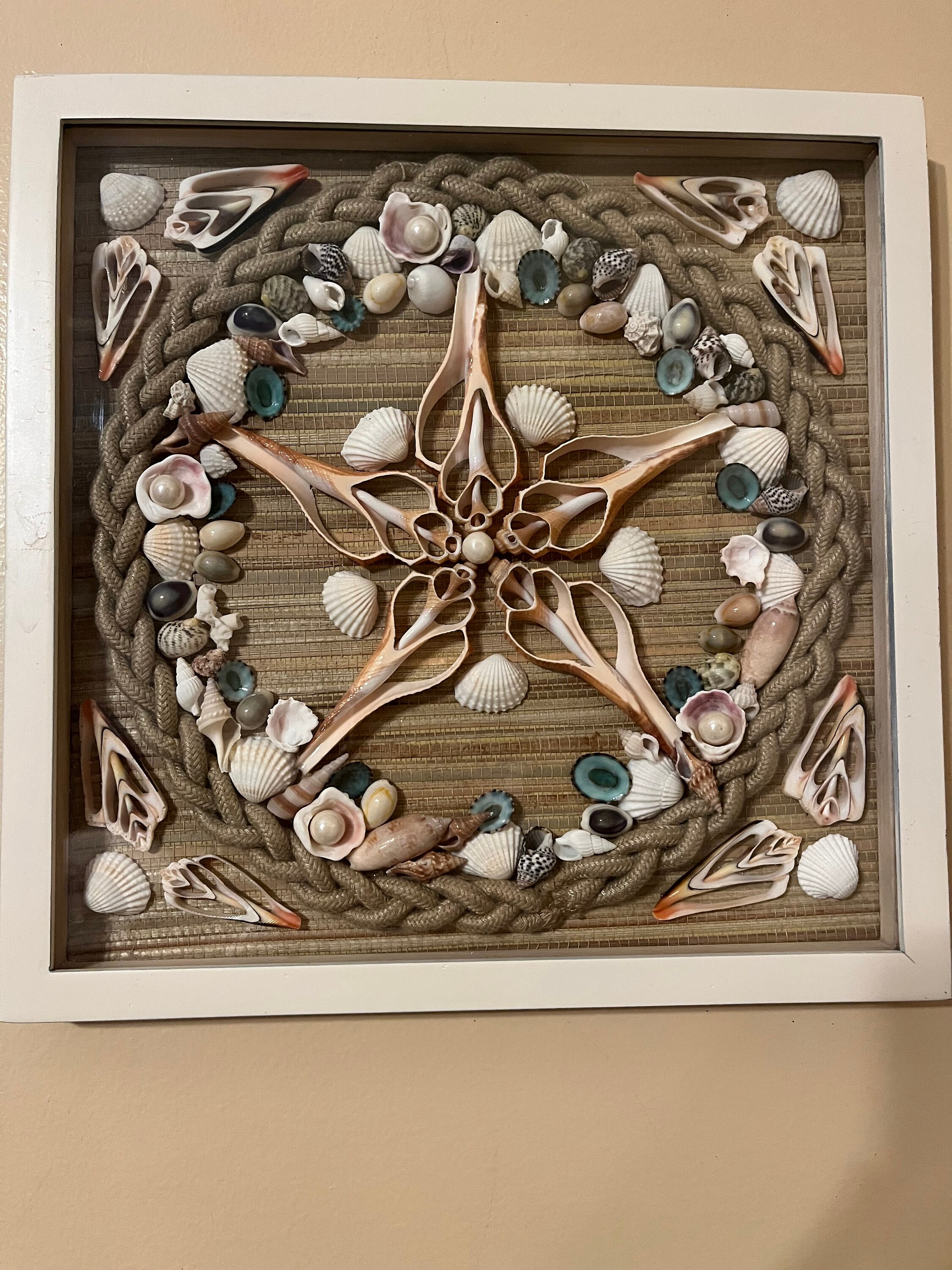 Braided Rope and Shells Shadowbox - Etsy