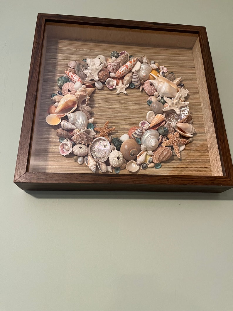 Seashell Shadowbox Deluxe Display in Dark Oak Frame - Etsy