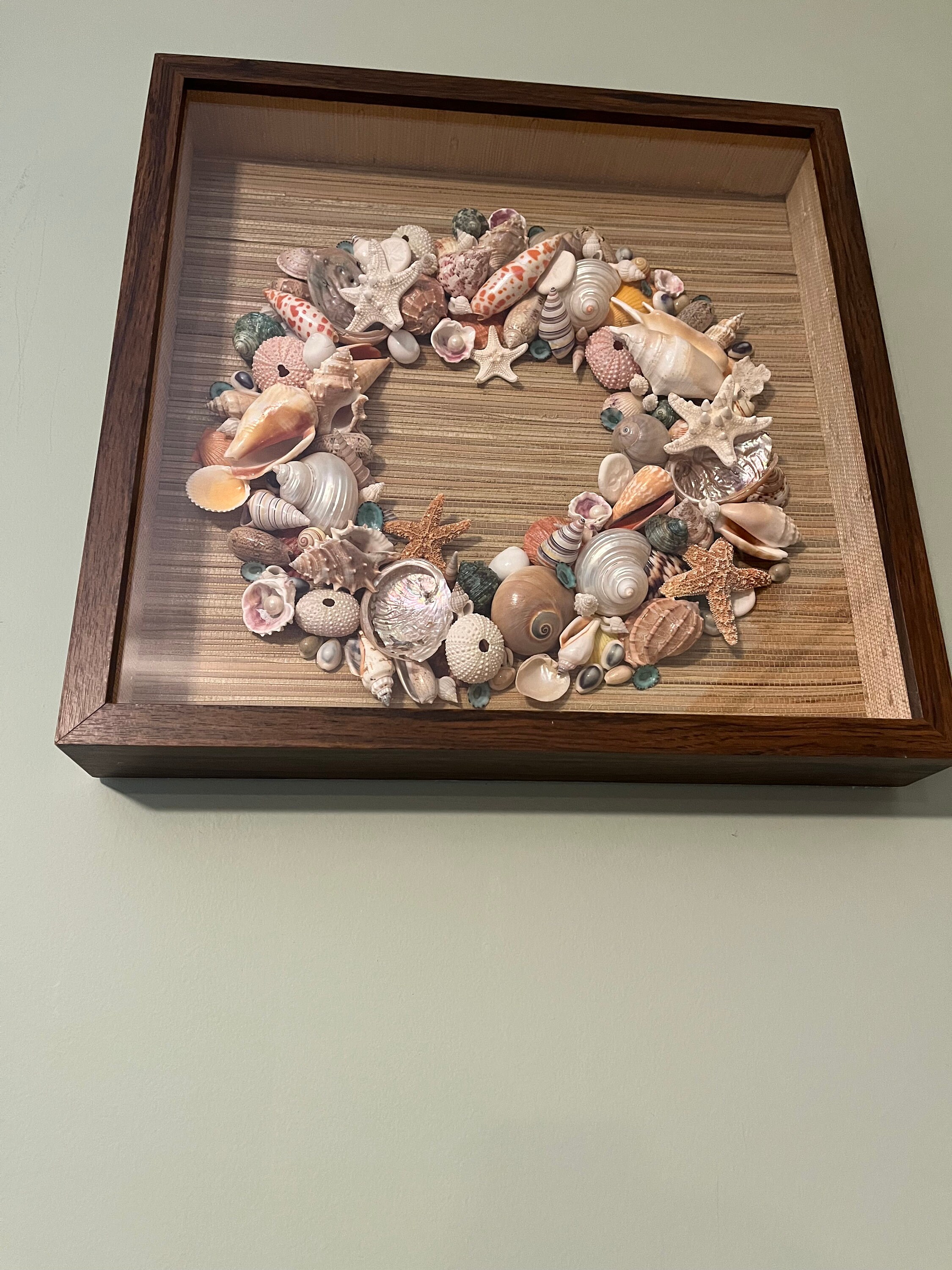 Seashell Shadowbox Deluxe Display in Dark Oak Frame - Etsy