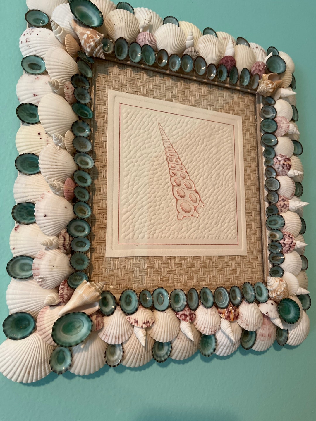 Framed Embossment Print of Turret Seashell Nautical Themed - Etsy