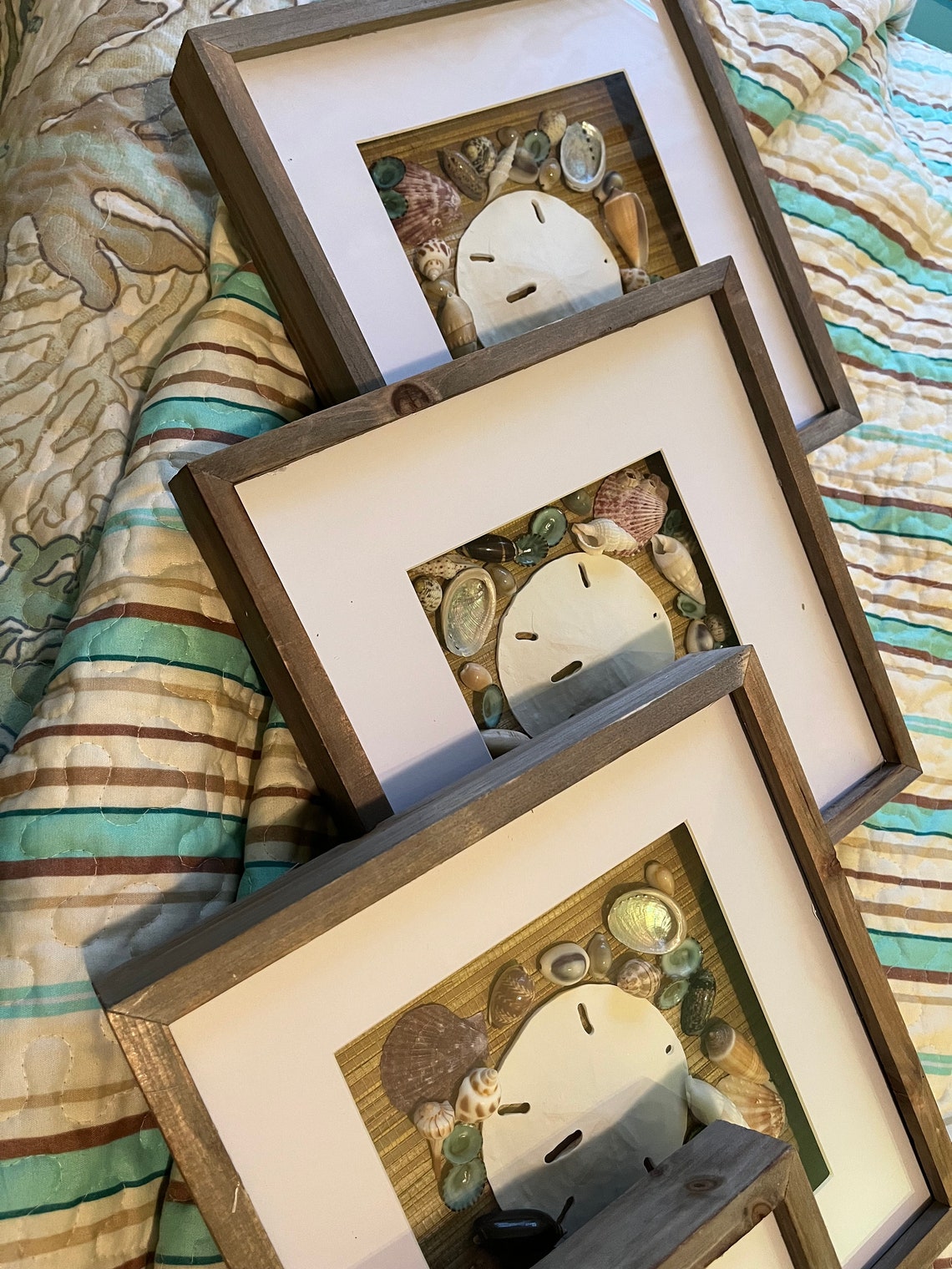Sand Dollar Collage - Etsy