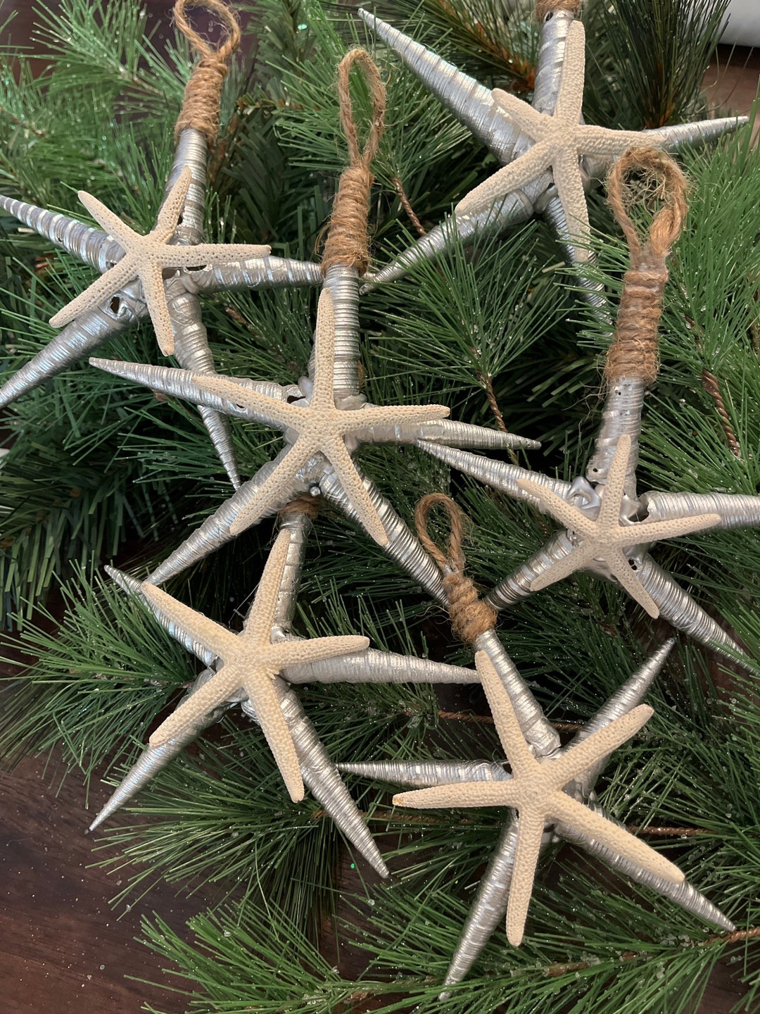 Christmas Ornaments: Set of 3 Turret Shell & Finger Starfish - Etsy