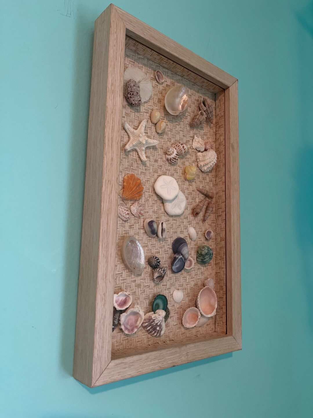 Seashell Shadowbox Display Nautical Themed - Etsy