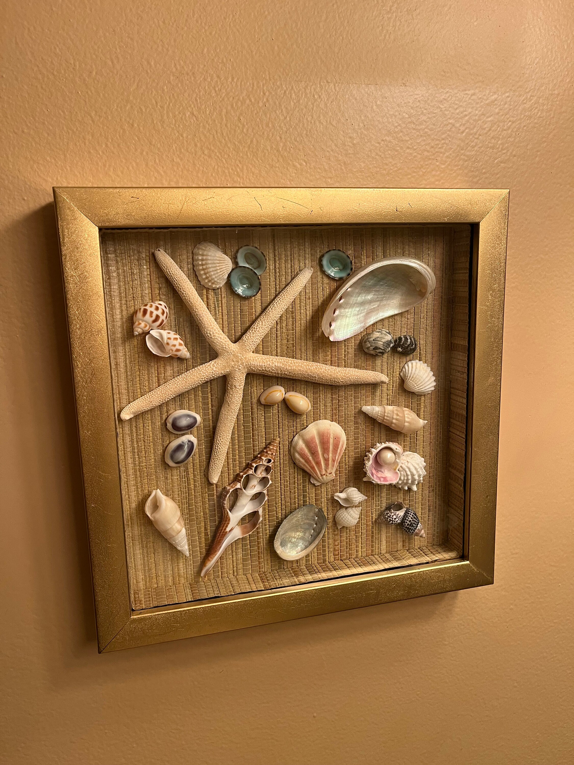 Gold Framed Seashell Shadowbox Display - Etsy