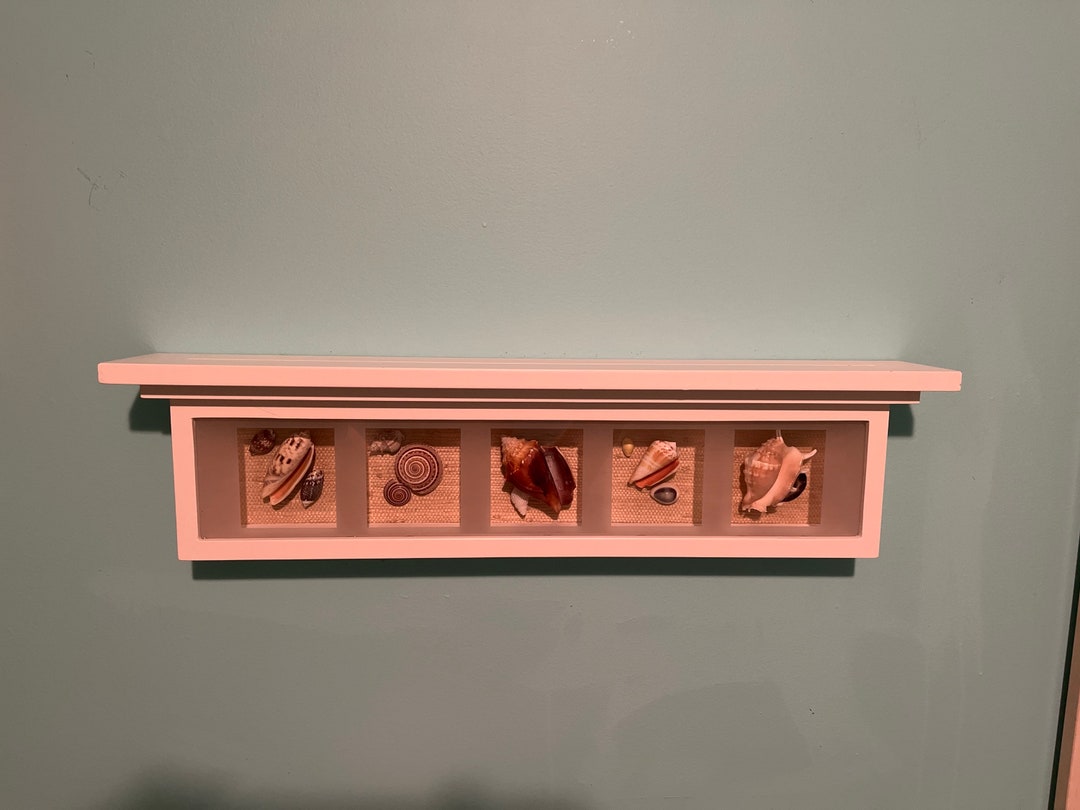Seashell Shadowbox Shelf, Nautical Costal Decor - Etsy