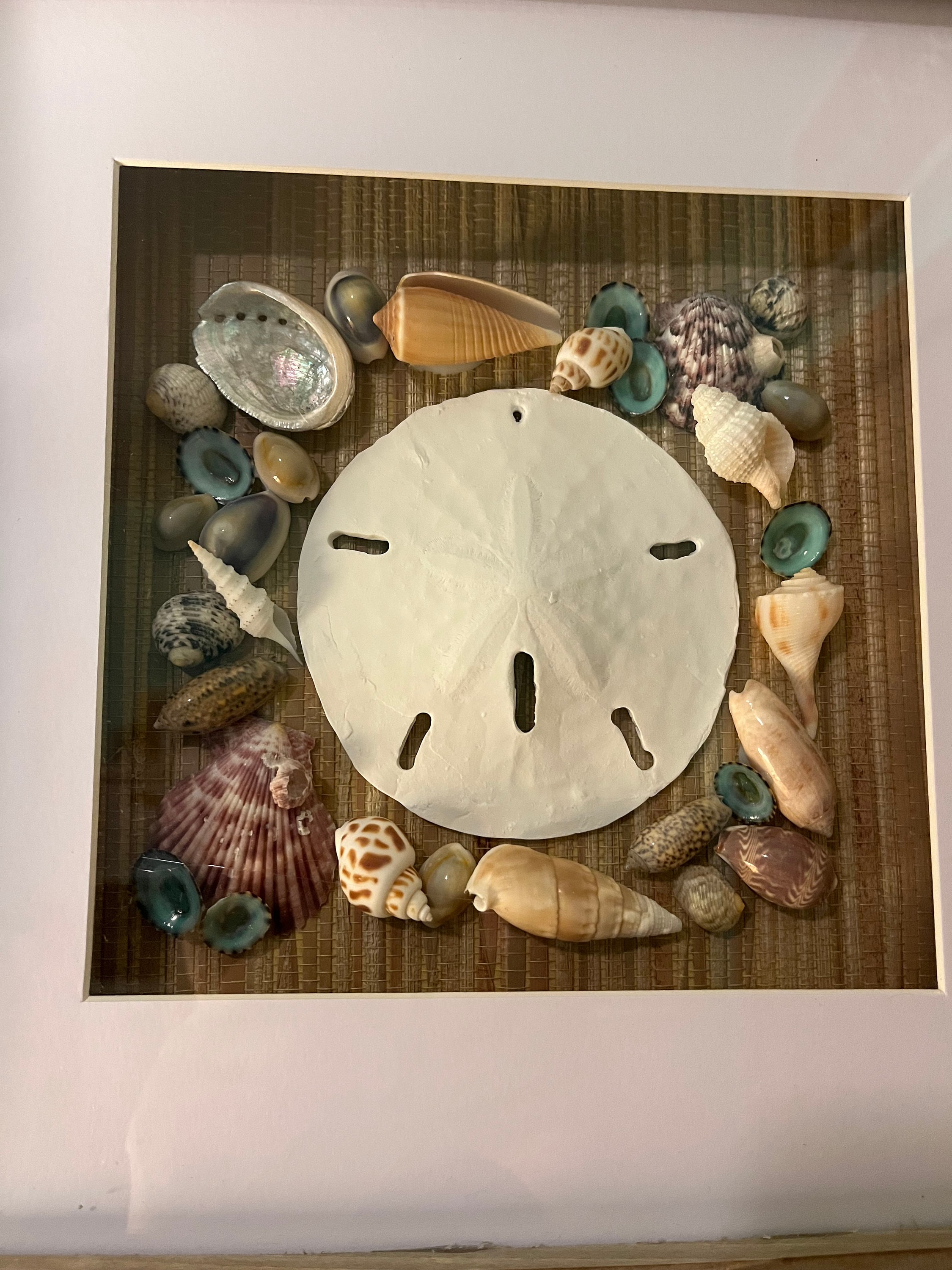 Sand Dollar Collage - Etsy