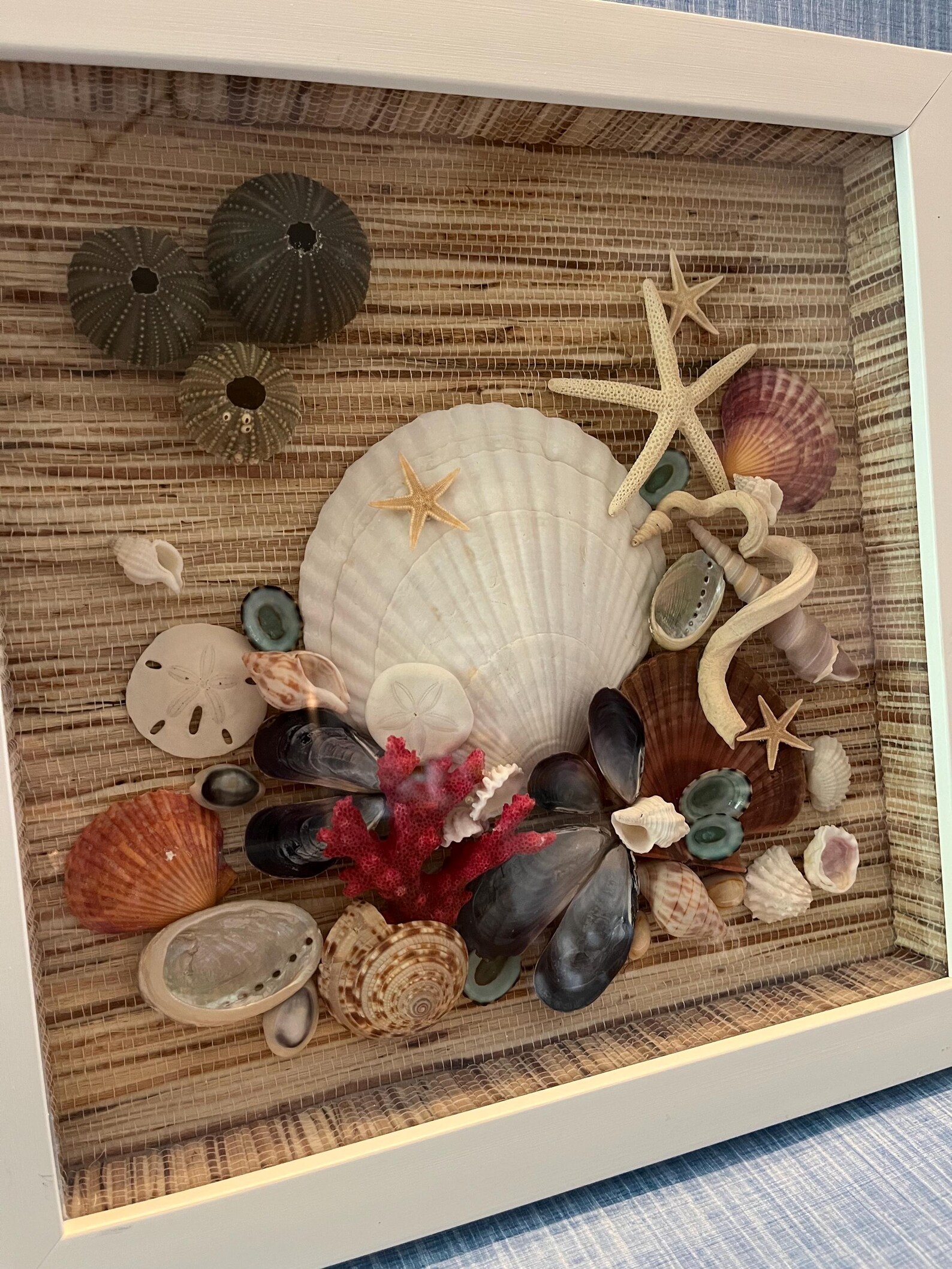 Seashell Shadowbox in White Frame - Etsy