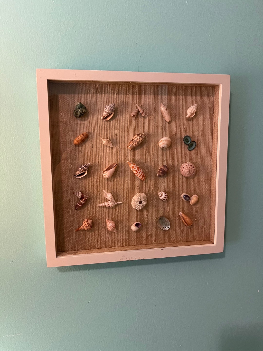 Mini Seashells Square Shadowbox Display Nautical or Coastal Decor #3 - Etsy