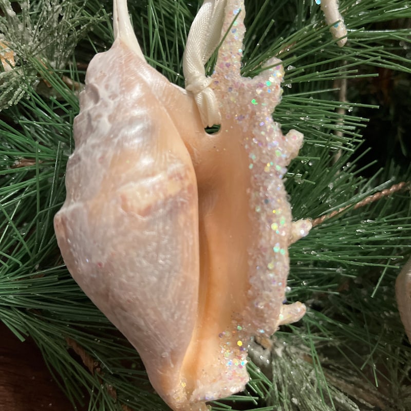Shell Ornaments - Etsy