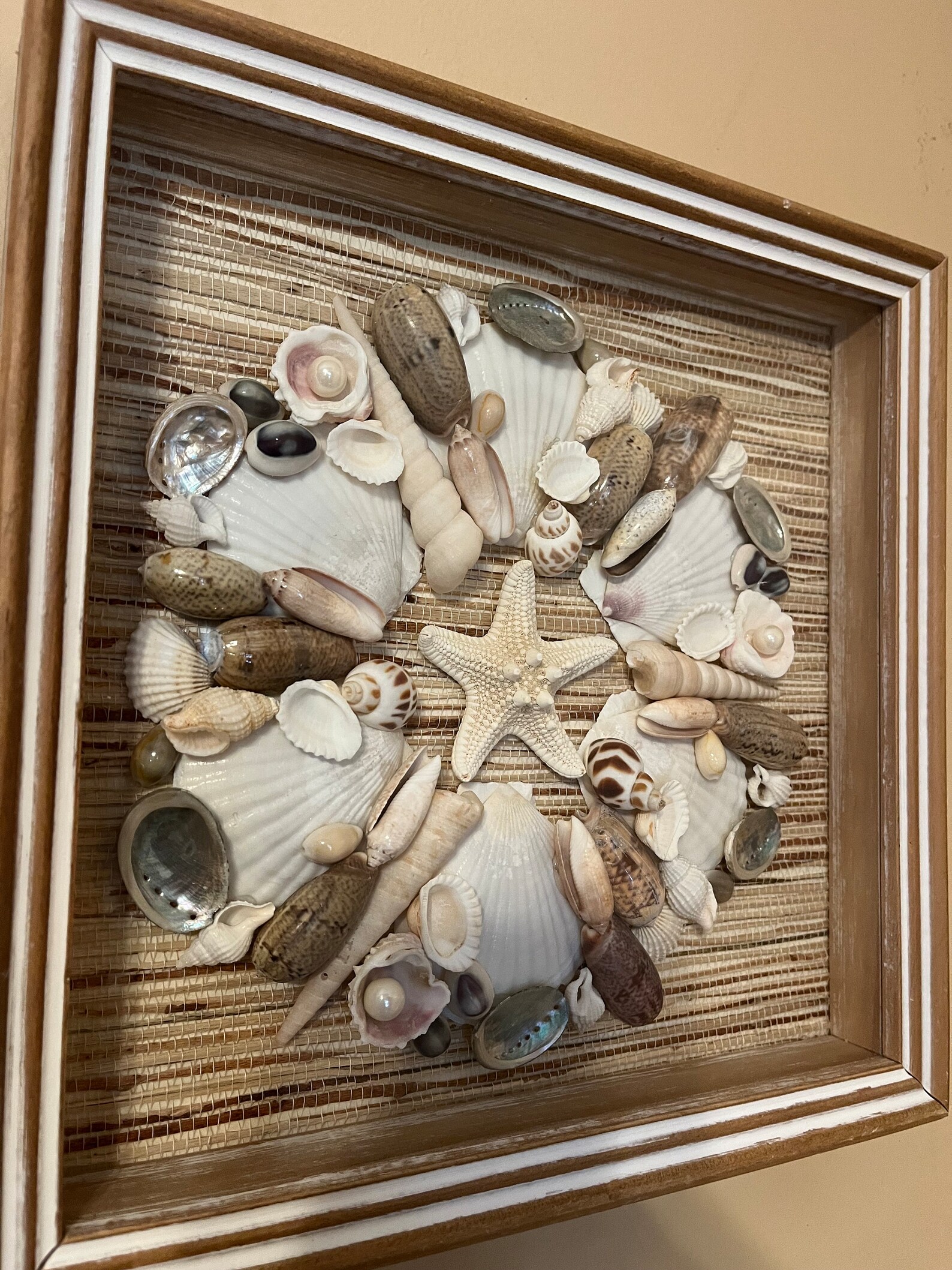 White Washed & Natural Square Seashell Shadowbox, Nautical Beachcomber ...