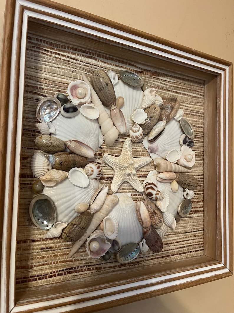 White Washed & Natural Square Seashell Shadowbox, Nautical Beachcomber ...
