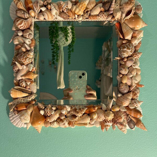 Seashell Mirror - Etsy