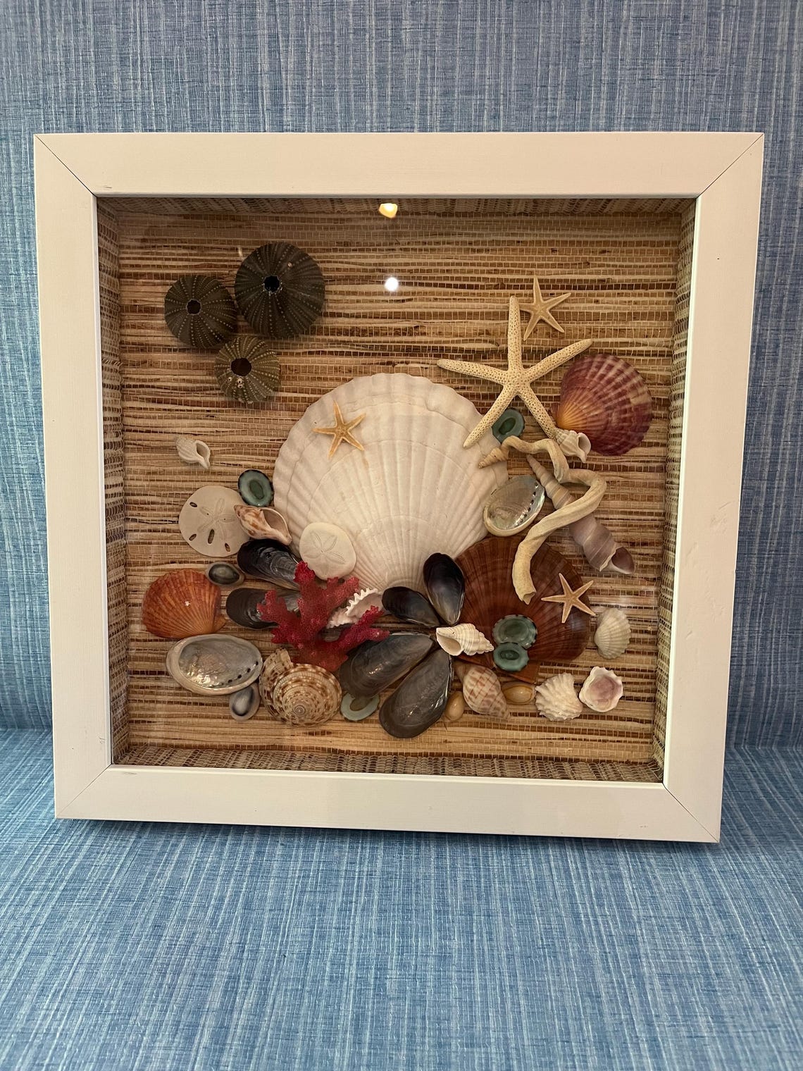 Seashell Shadowbox in White Frame - Etsy